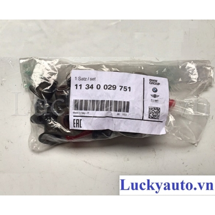 Phớt git (1 bộ) BMW 318i đời 2004_ 11340029751