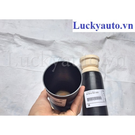 Cao su tăm bông và chụp bụi sau xe BMW 320i đời 2013_ 33536855439