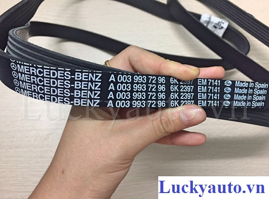 Dây curoa xe Mercedes E350 đời 2006_ 0019931896