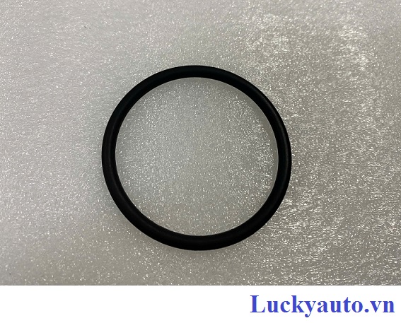 Roăng van hằng nhiệt xe Volkswagen New Beetle_ 038121119B